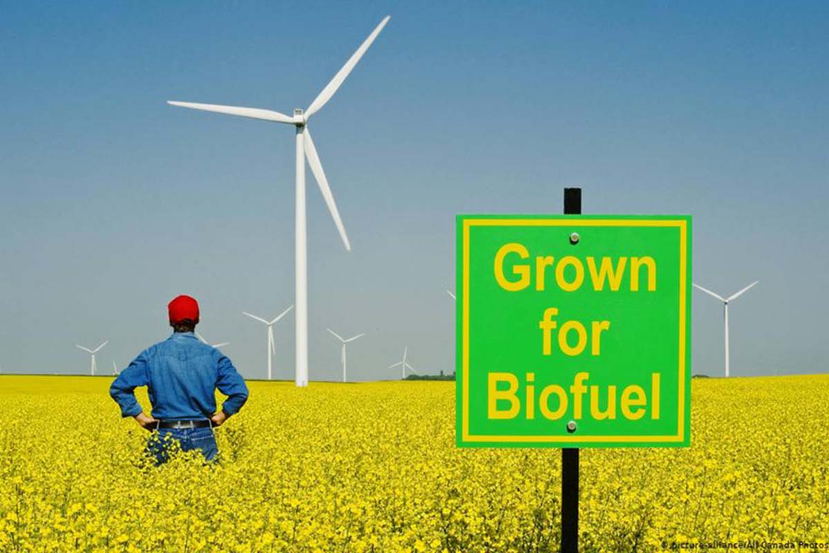 Biofuels’ Widespread Adoption for Multiple Uses Can Contribute Towards ...